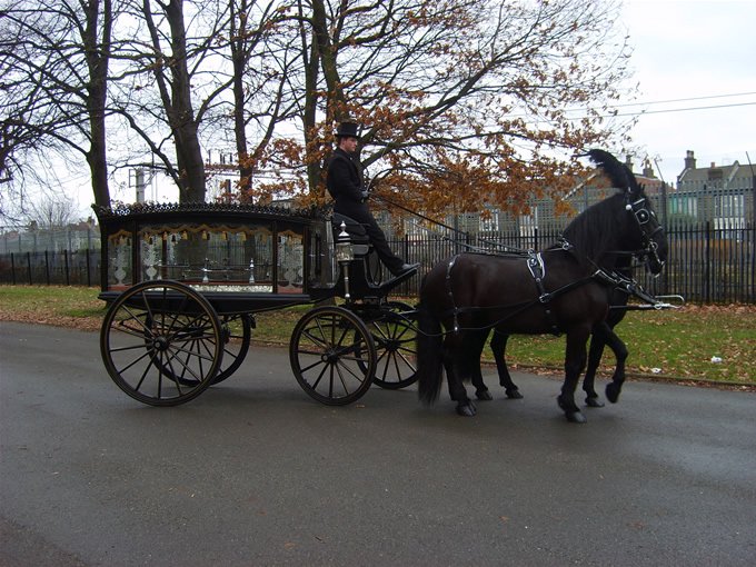 Cooks Carriages - Hire of horse drawn carriages for weddings, proms ...