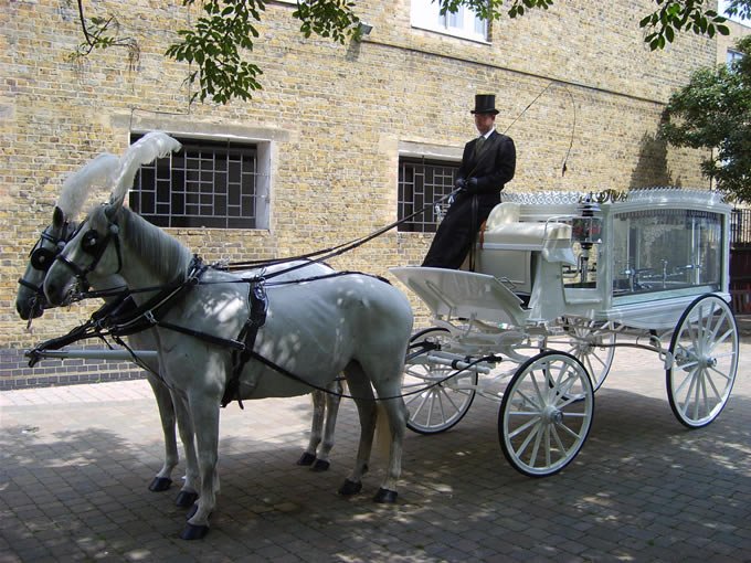Cooks Carriages - Hire of horse drawn carriages for weddings, proms ...