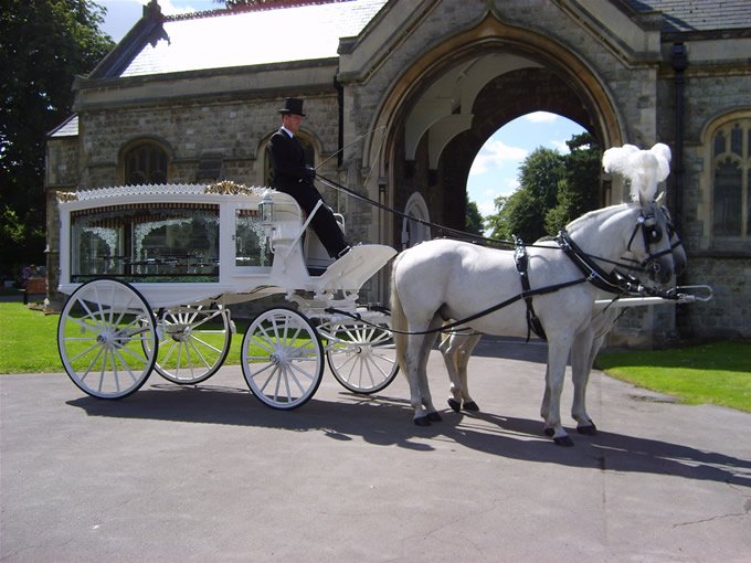 Cooks Carriages - Hire of horse drawn carriages for weddings, proms ...