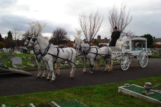 Cooks Carriages - Hire of horse drawn carriages for weddings, proms ...