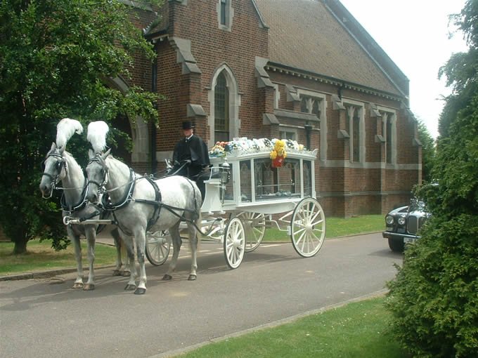 Cooks Carriages - Hire of horse drawn carriages for weddings, proms ...