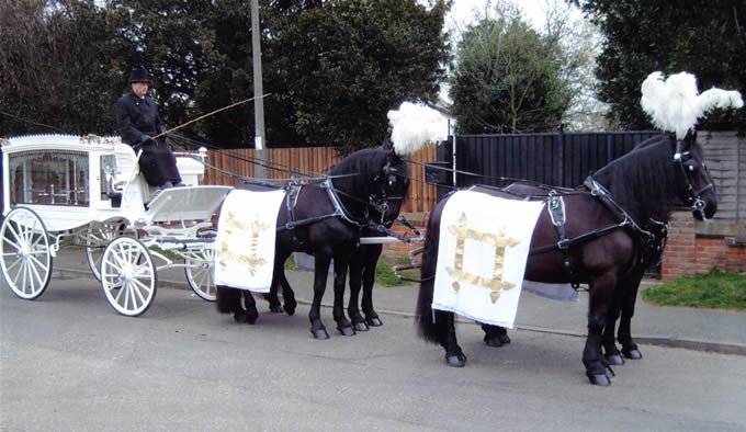 Cooks Carriages - Hire of horse drawn carriages for weddings, proms ...