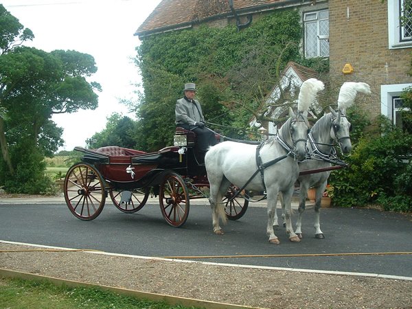 Cooks Carriages - Hire of horse drawn carriages for weddings, proms ...