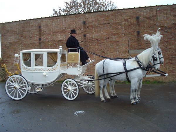 Cooks Carriages - Hire of horse drawn carriages for weddings, proms ...