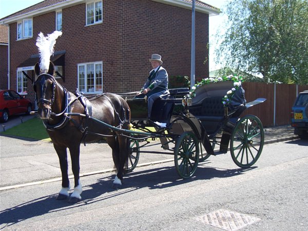 Cooks Carriages - Hire of horse drawn carriages for weddings, proms ...